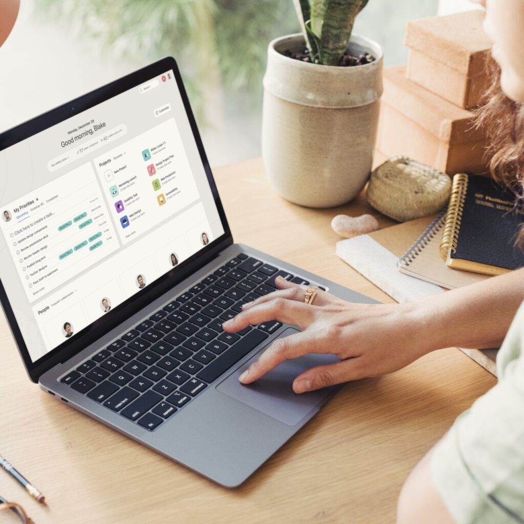 Asana Workspace Audit - Wayne Hedlund Consulting